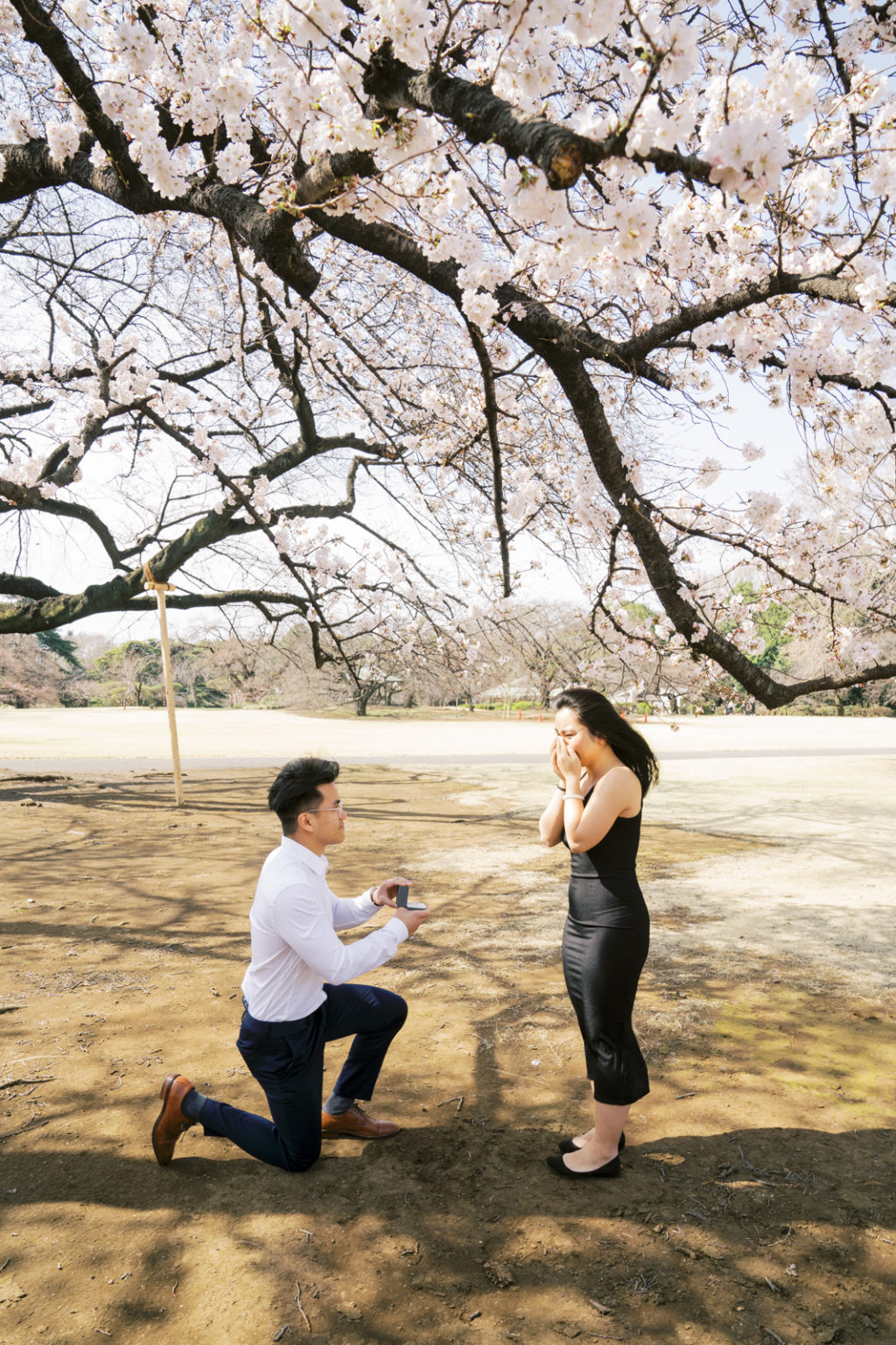 SHINJUKU GYOEN ENGAGEMENT | TOKYO ENGAGEMENT PHOTOGRAPHER ...